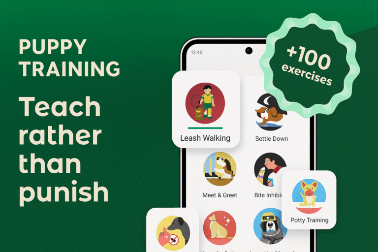 Best Dog Training App Free? Dogo App Review (2025) — Features, Pros ...